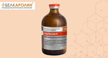 Марбобел - эффективное решение для ветеринарии - ООО "Белкаролин"