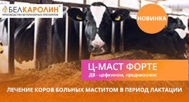 Мастит в период лактации. Что делать? - ООО "Белкаролин"